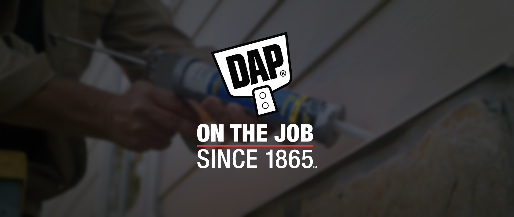 Case Study: DAP
